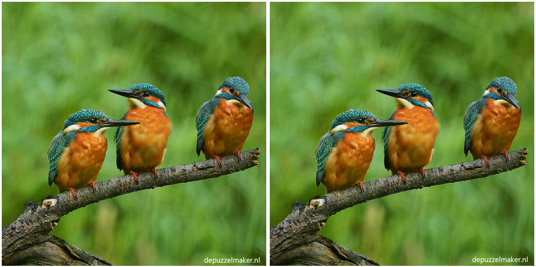 De Puzzelmaker - Puzzels op maat